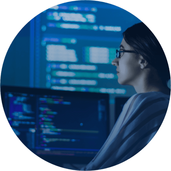 IT Development – Bellatrix Systems